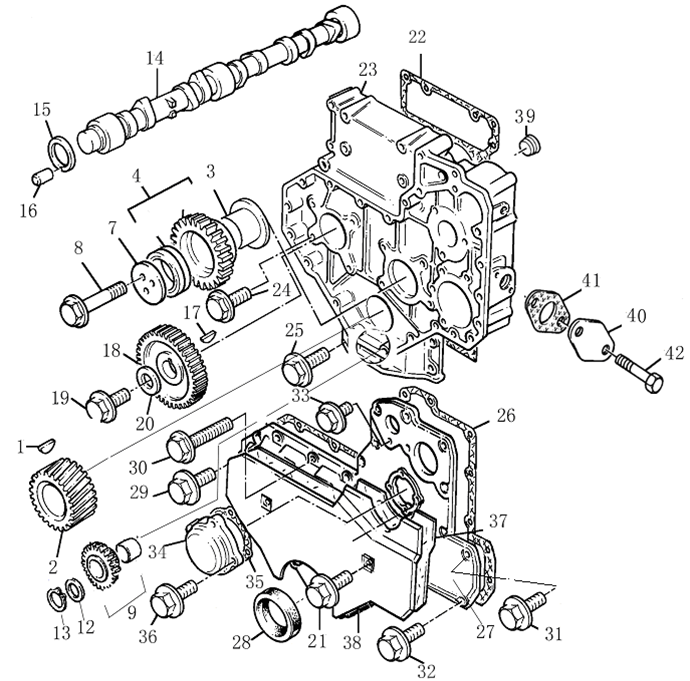 Dayliff Yanan P36/ P56 Timing Gear and Camshaft